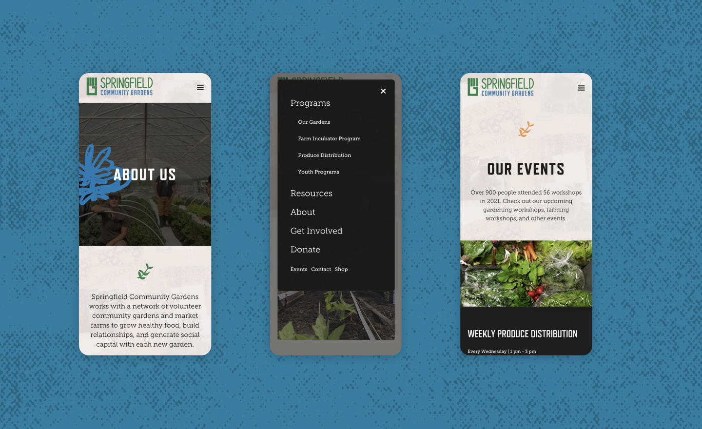 Springfield Community Gardens | Mostly Serious